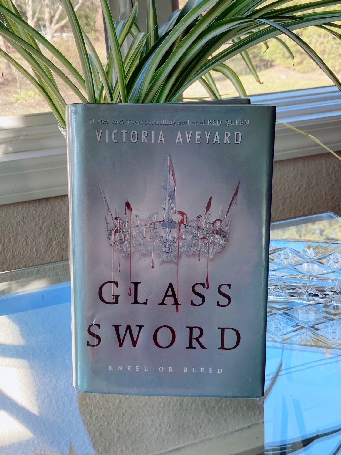 Glass Sword – Leah's Books